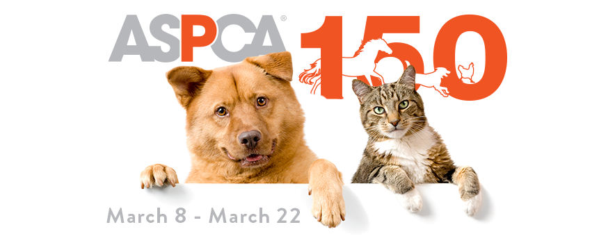 Charitybuzz: Help the ASPCA® Fight Animal Cruelty